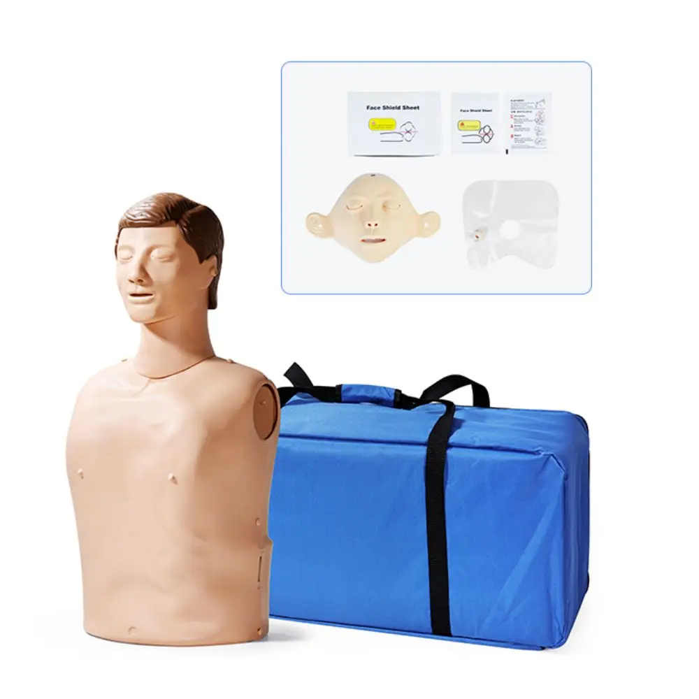 Medical Body Dummy Torso Mannequins Cpr Training Manikin With ...