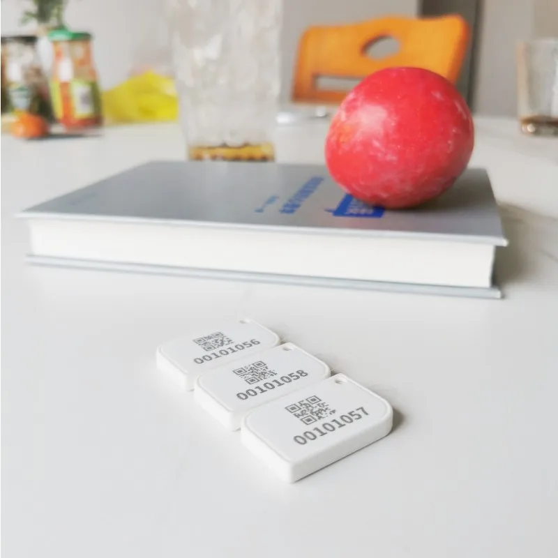 Long Range Nrf52832 Ibeacon Outdoor Tag & Rfid Transmitter Odm