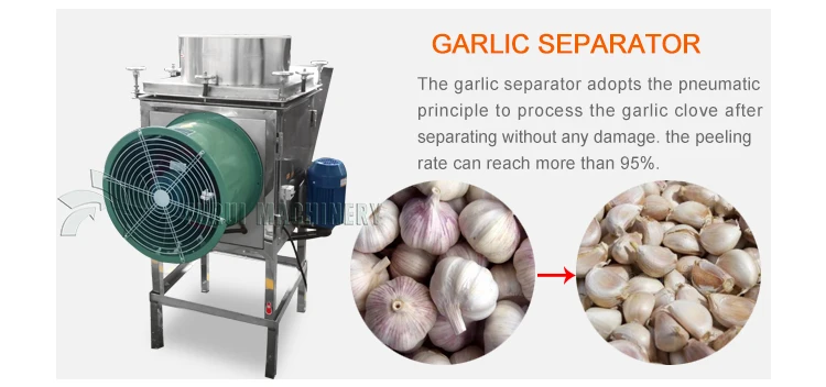 Best Selling Garlic Peeling Machine Production Line/garlic Breaking ...