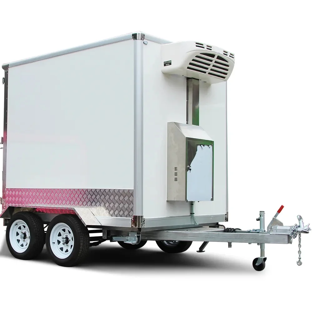 DC12V/24V Battery Driven Van Refrigeration Units - Mobile Coolers