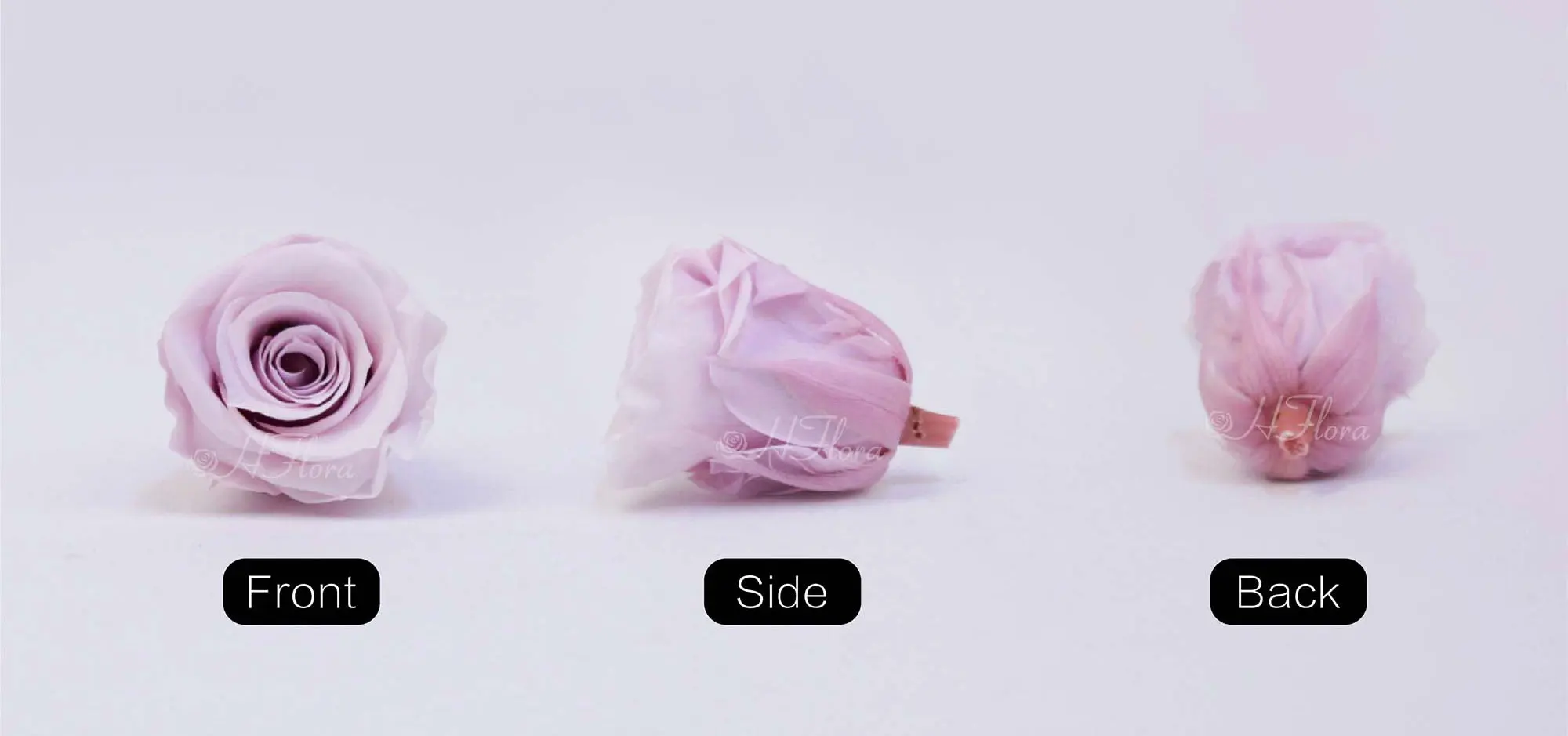 Hflora 2-3cm Eternal Rose - Preserved Flower Head for Valentine's Day