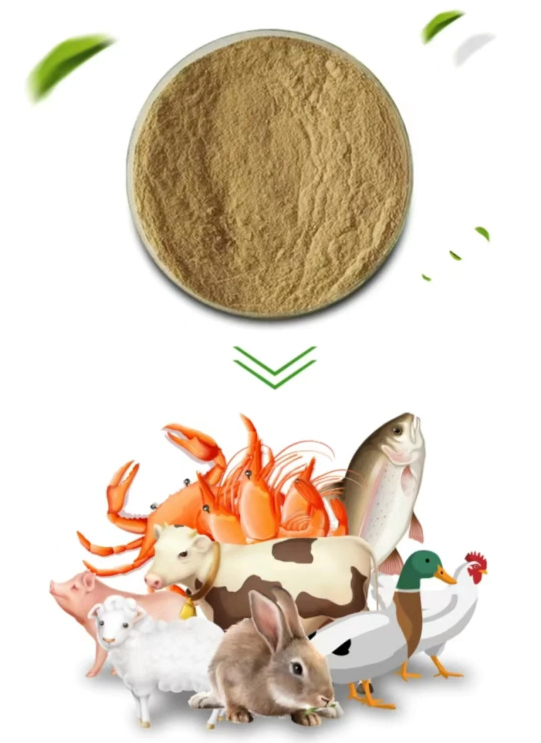 YD-LAB Lactic Acid Bacteria for Feed Animal/ Aquaculture Feed Additive ...