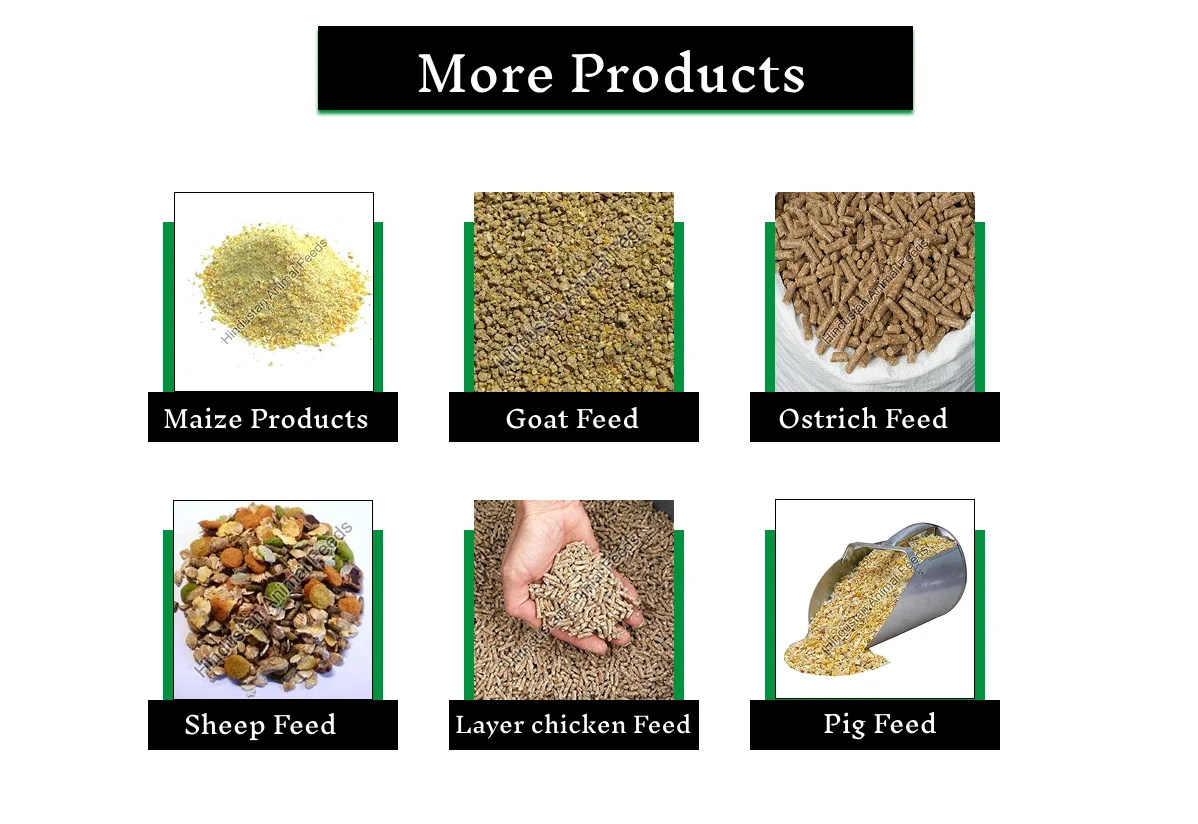 Yearling Developer Baled Packaging Premium 100% Natural Top Grade Grain ...