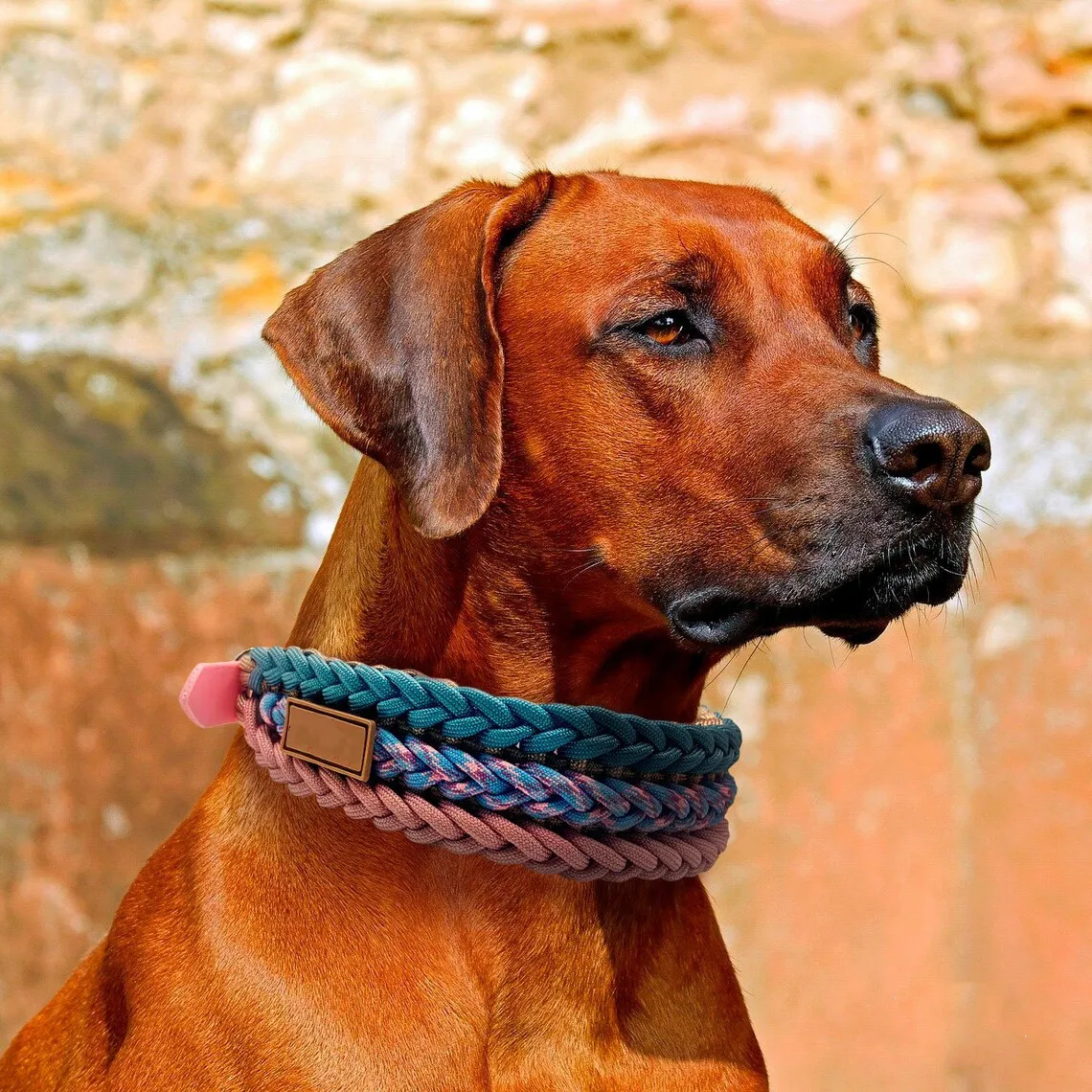 2024 Logo Paracord Dog Collar And Lead Leash Set Macrame Handmade ...