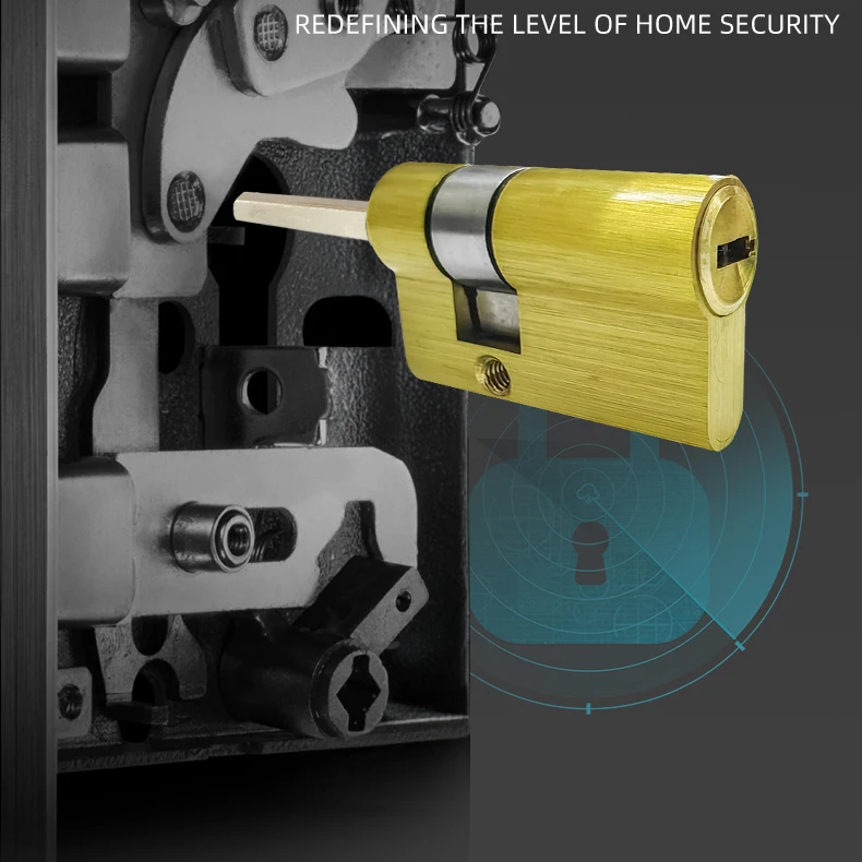 Smart Lock Door with 3D Face Unlock - Elefine EF-D1S-T