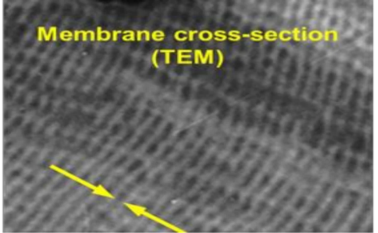 Mair Heat Exchangers - Efficient Energy Recovery Solutions