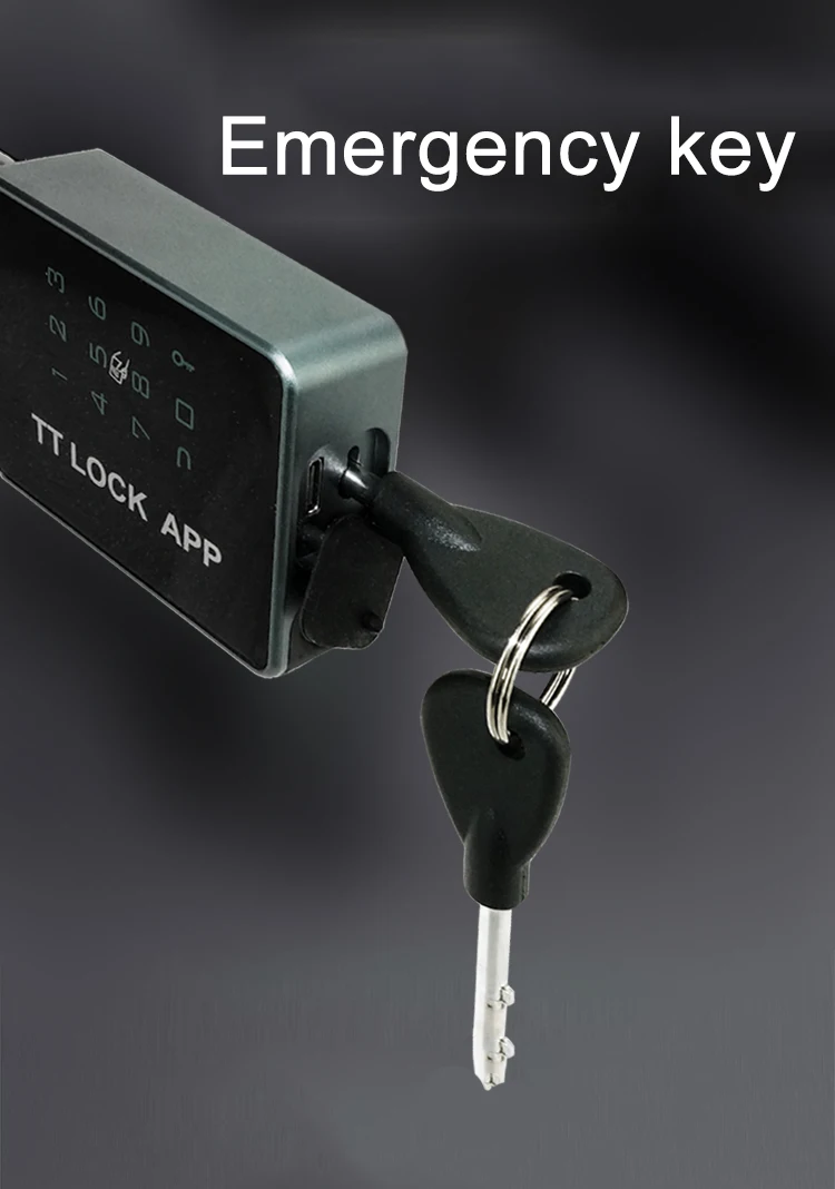 Smart, Secure, and Convenient: RFID Padlocks with Touch Keypad