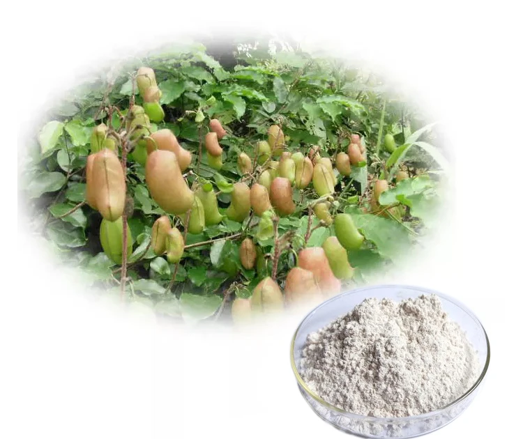 Hot Sale 5 Htp Powder 5-hydroxytryptophan Ghana Seed Extract 5htp 5-htp ...