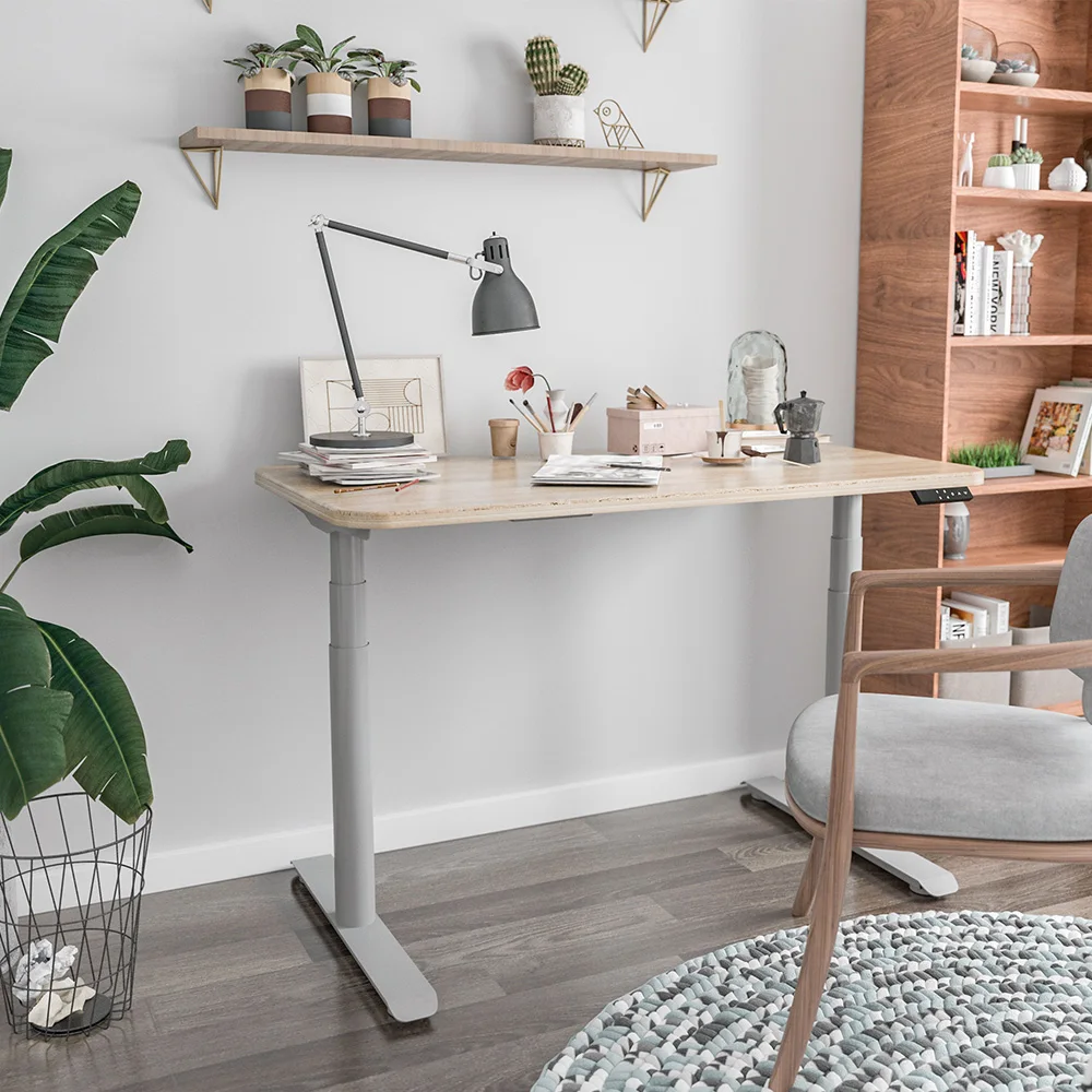 New Standard Column Dual Motor Sit Stand Desk Metal Frame and Single ...