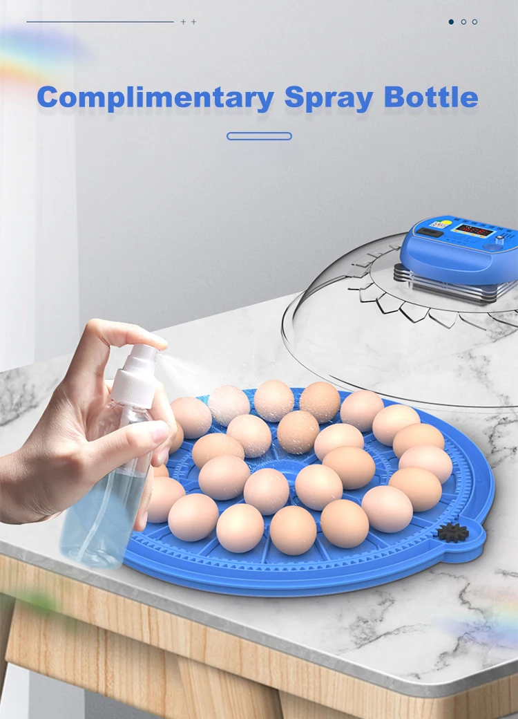 Home Use Dual Power Capacity 80 Egg Automatic Incubator Hatching Eggs ...