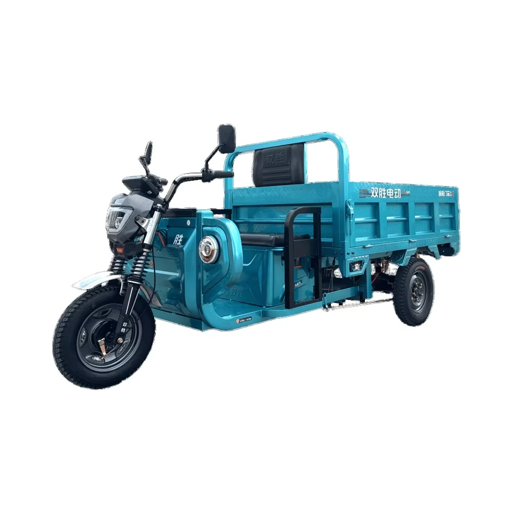 Sunsen Open Body 3-wheel Motorized Cargo Tricycle Electric Tricycles ...