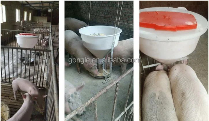 Automatic Pig Feeder - Plastic Dry Wet Hog Feeder for Efficient ...