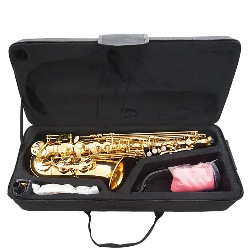 Aiersi Brand Gold Lacquer Eb Alto Saxophone Alto Sax Woodwind ...