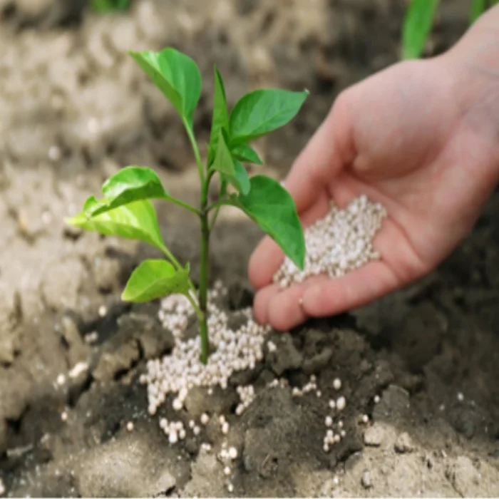 Npk Compound Fertilizer Micronutrients Compound Fertilizer For Fruits ...