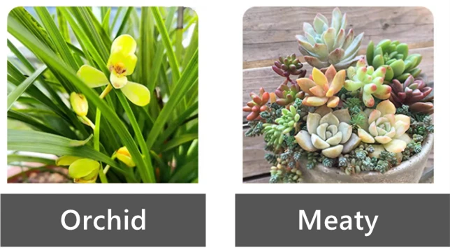 Hard Akadama For Saculens Akadama Bonsai Clay Soil For Bonsai Trees ...