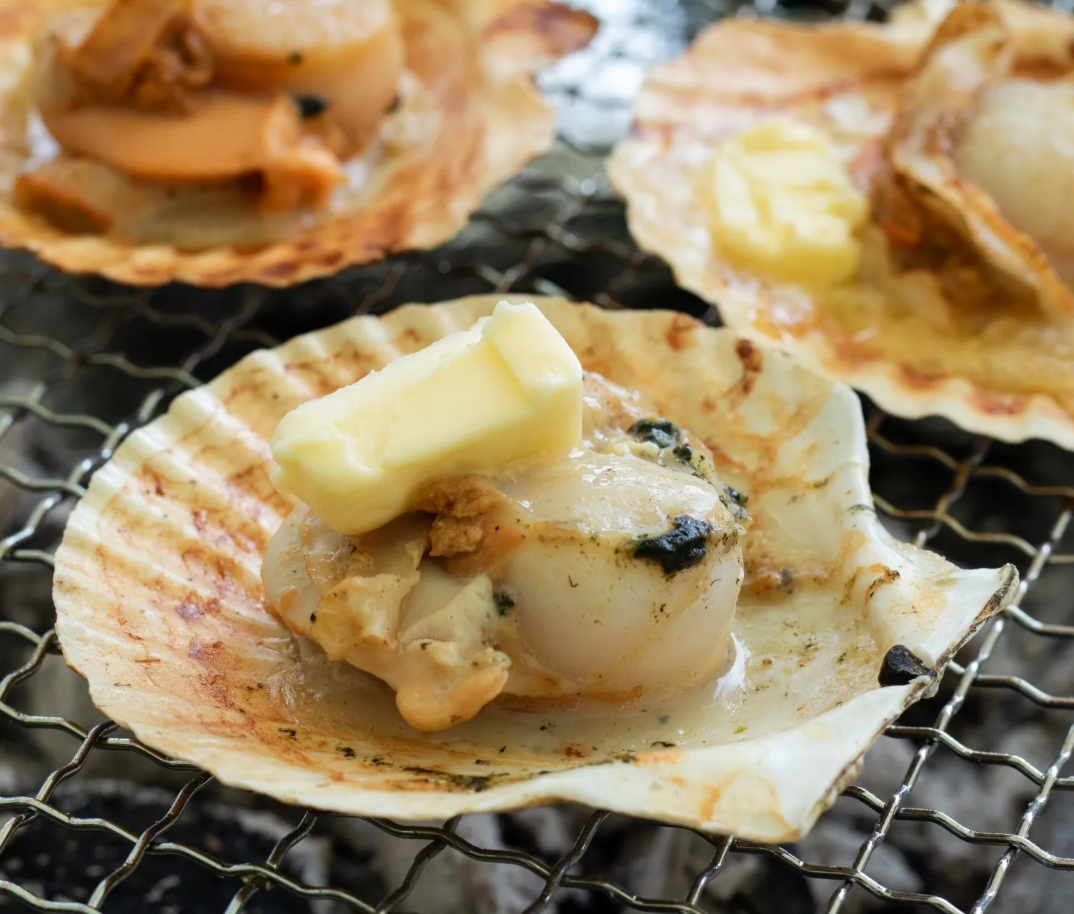 Frozen Scallop (with Shell Half Shell Scallop Meat) - Buy Frozen ...