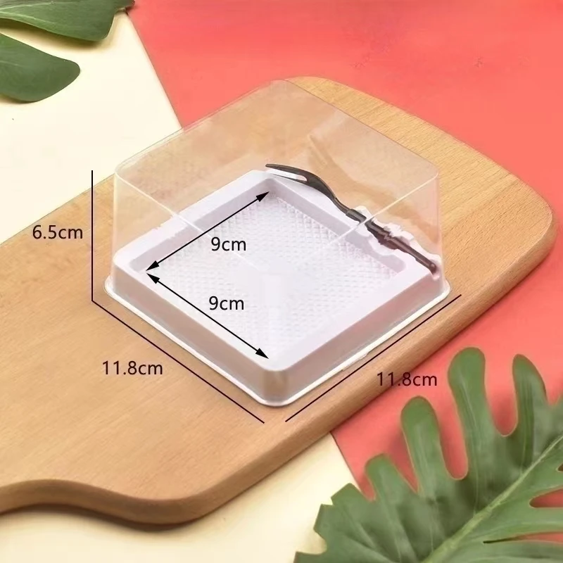 Transparent Disposable Food Container Plastic Clamshell Packaging for ...