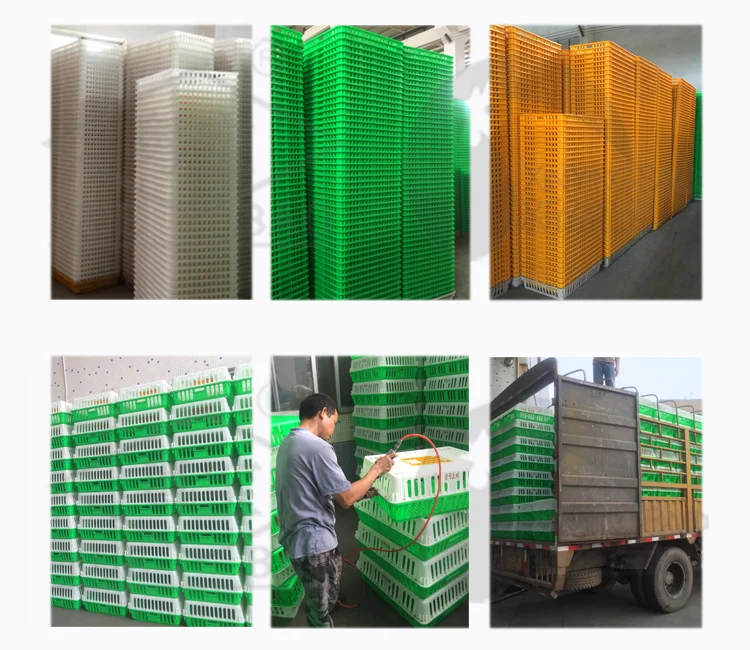 Good Selling Chick Chicken Transport Box Crates - Buy Chick Transport ...