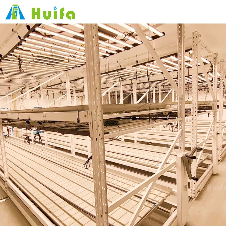 Alibaba.com: HUIFA High Grow Yield Lettuce Seeding Indoor Hydroponic ...