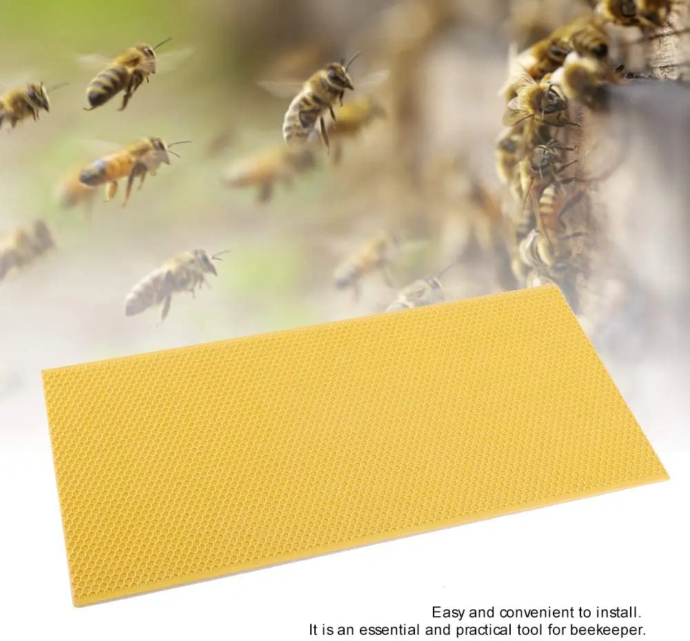 Plastic Comb Foundations Waxed Coated Heavy,Deep Foundation Brood Hive ...