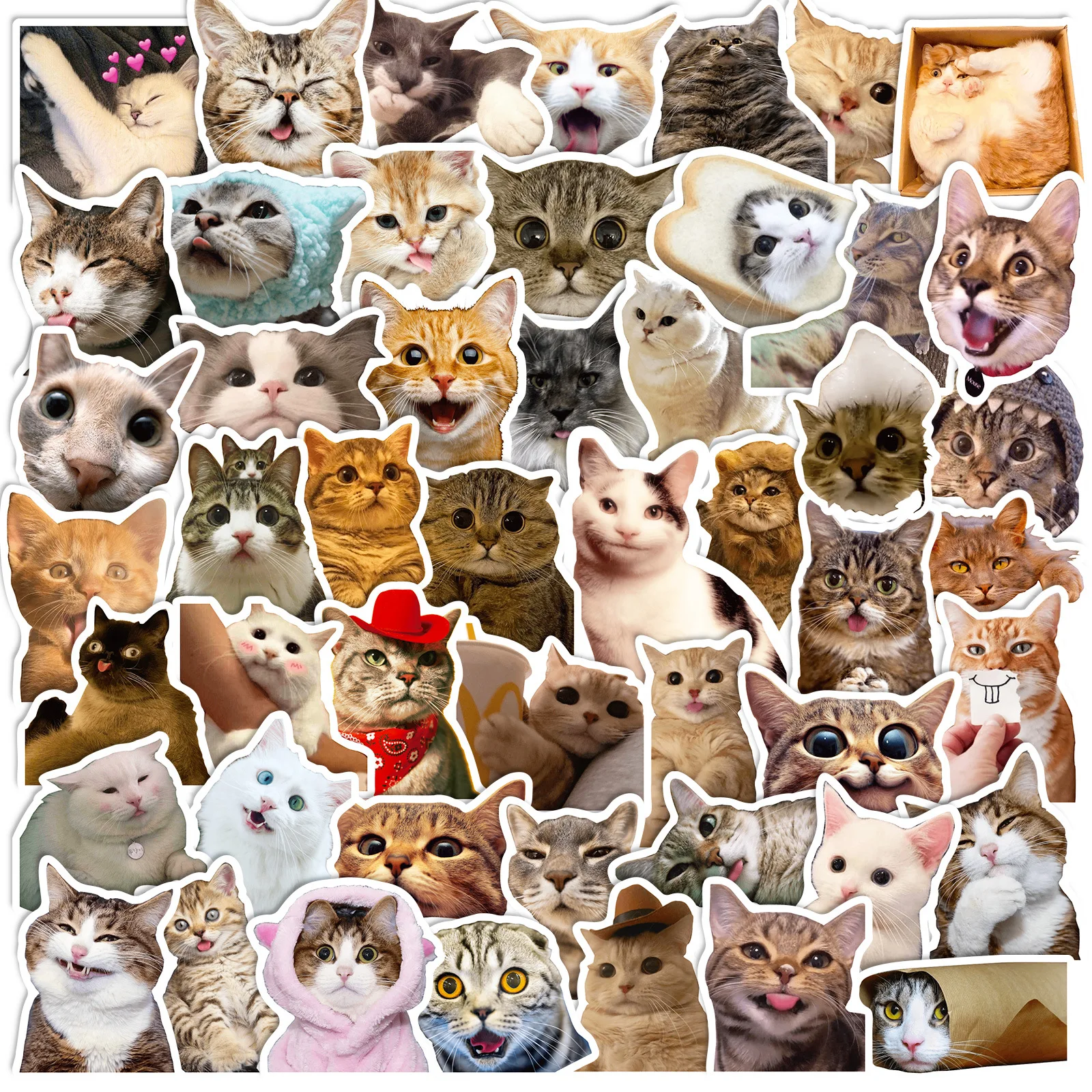 50pcs Real Cat Meme Funny Cute Graffiti Stickers For Wall Bottle Car ...
