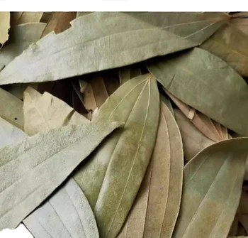 Natural Dried Indian Bay Leaf Tejpat Malabathrum Cinnamomum Tamala ...