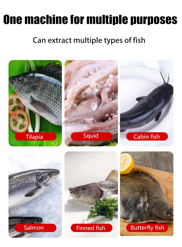 Industrial Skin Removing Automatic Squid Skinner Machine Of Cutting ...