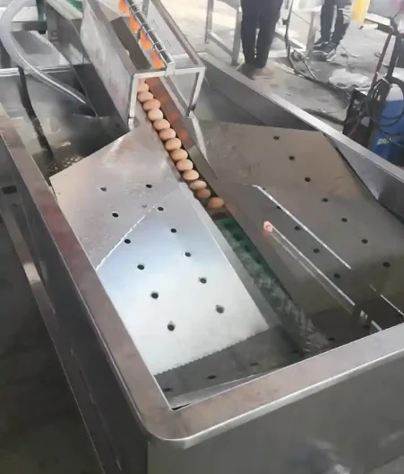 Automatic Egg Washing Machine/Commercial Egg Cleaning Machine/Egg ...