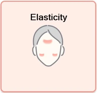 UV Light Facial Skin Scanner - Meicet MC10 Skin Analyzer