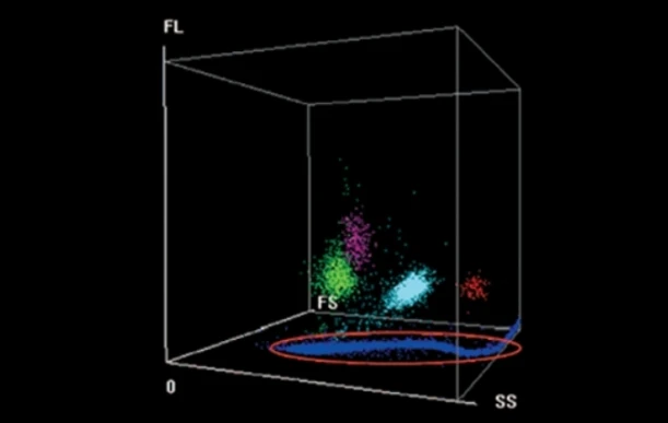 Mindray Bc6800 Automatic Blood Cell Analyzer Hematology Analyzer ...