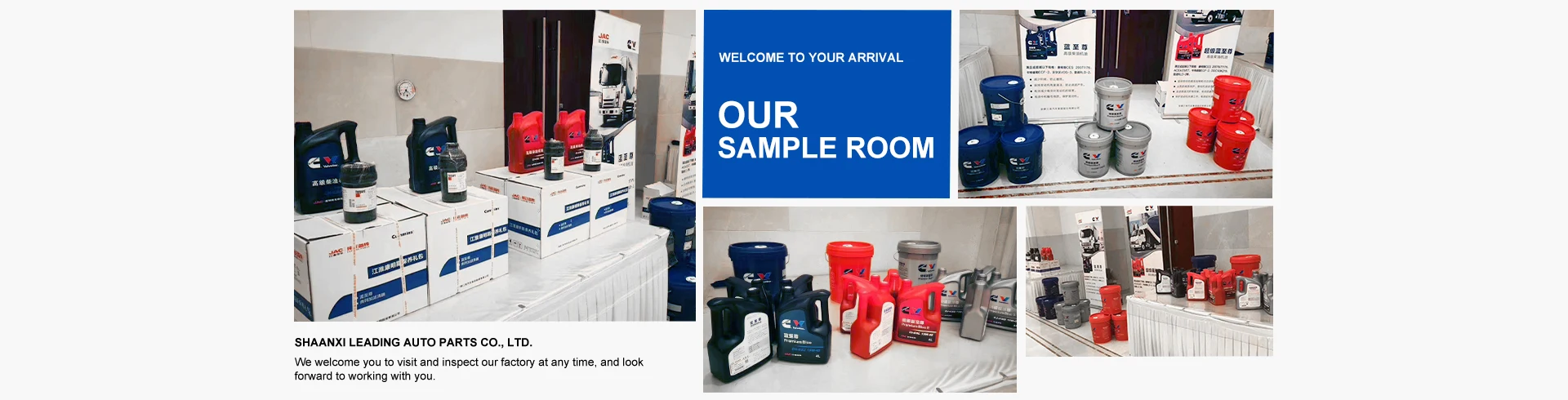 Company Overview - Shaanxi Leading Auto Parts Co., Ltd.