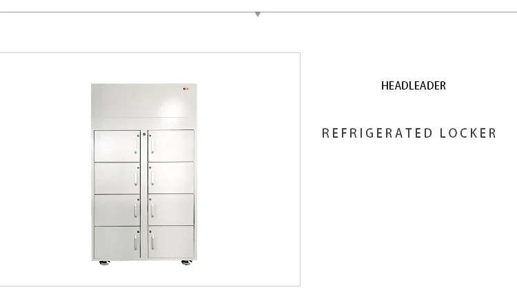 Refrigerated Lockers Contain Individual Compartment Each Column ...