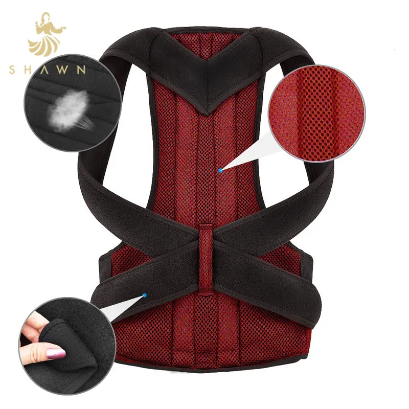 Manufacturers Supply Back Fixed Belt Posture With Support Plate ...