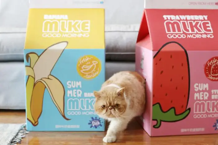 Cartoon Cat Scratching Board Wear-resistant Cat Supplies Cat Milk Box ...