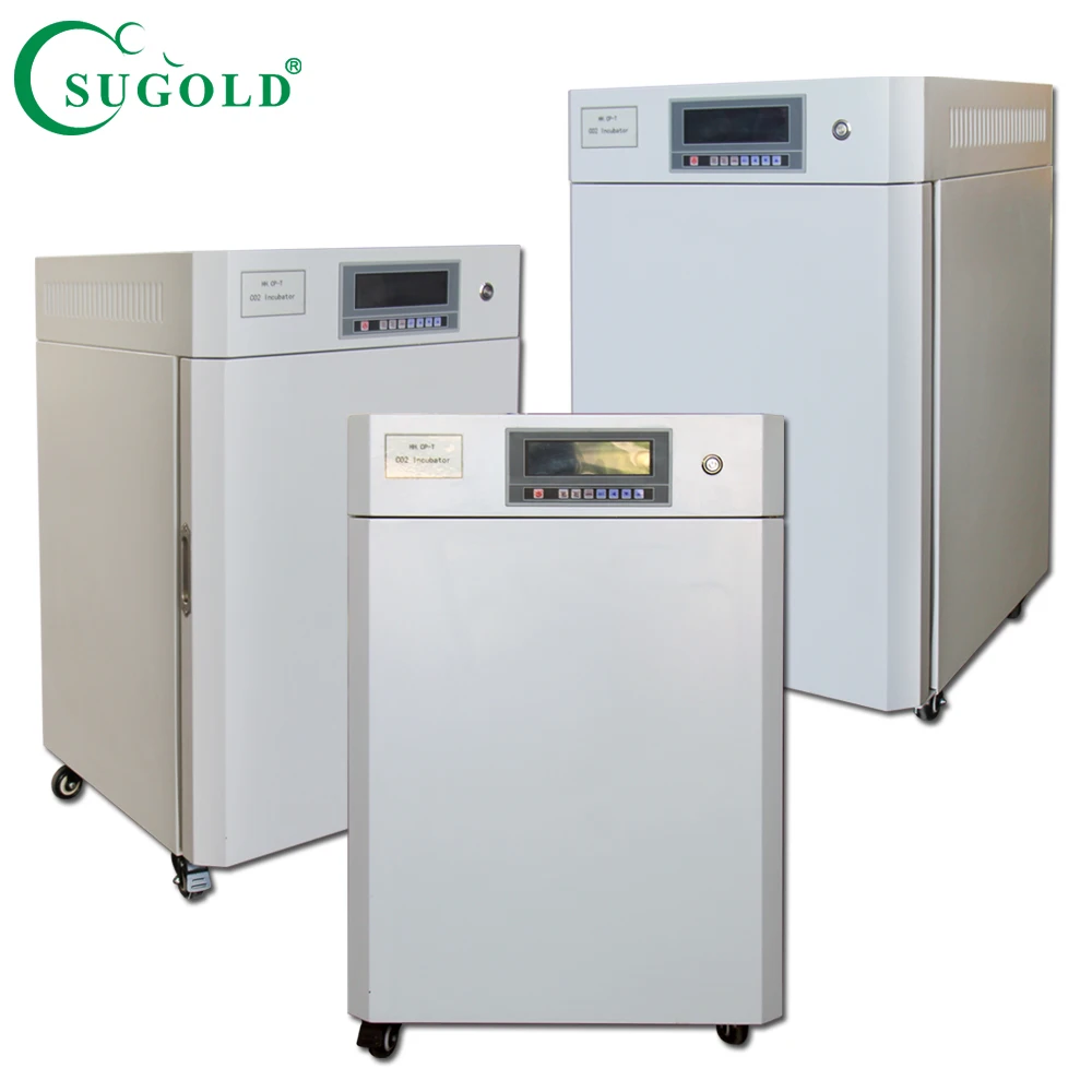 80L Carbon Dioxide Incubator - Precision for Lab Culture