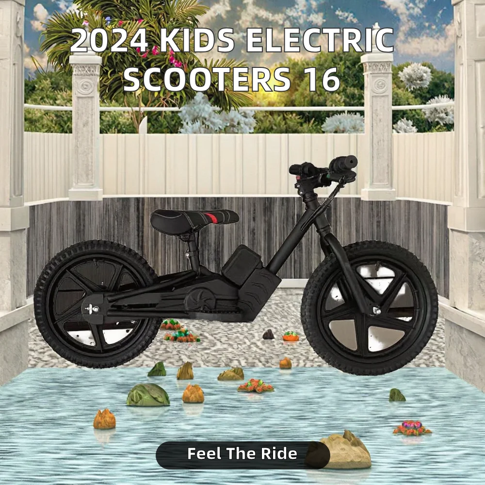 Brushless Electric Scooter Balance Bike Without Pedal 16 Aluminum Alloy ...