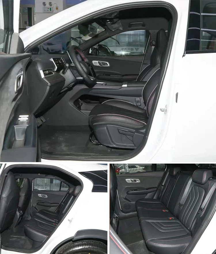 2024 Netta X Electric SUV - 500 Km Range, Ultra Long Drive