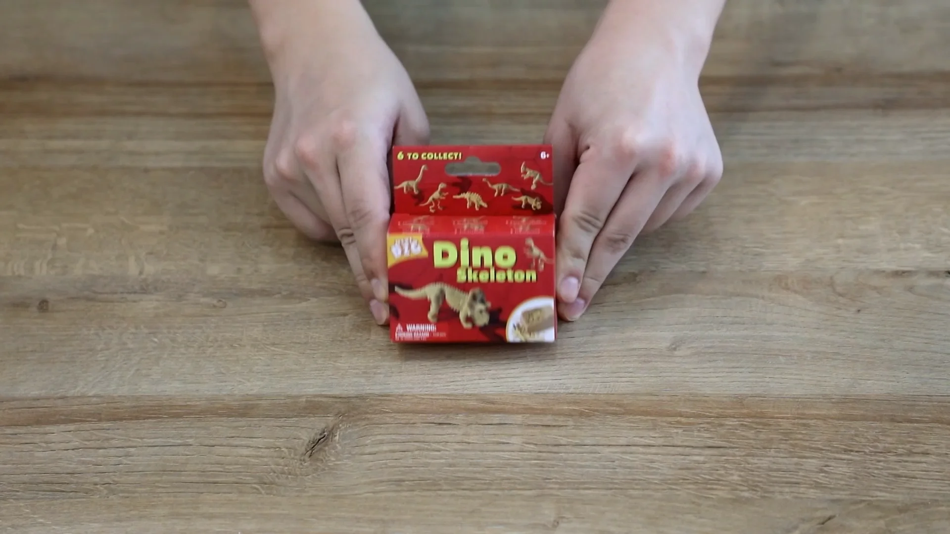 Mini Dino Skeleton Dig Toys Archaeology Kids Exploration Dig Kits ...