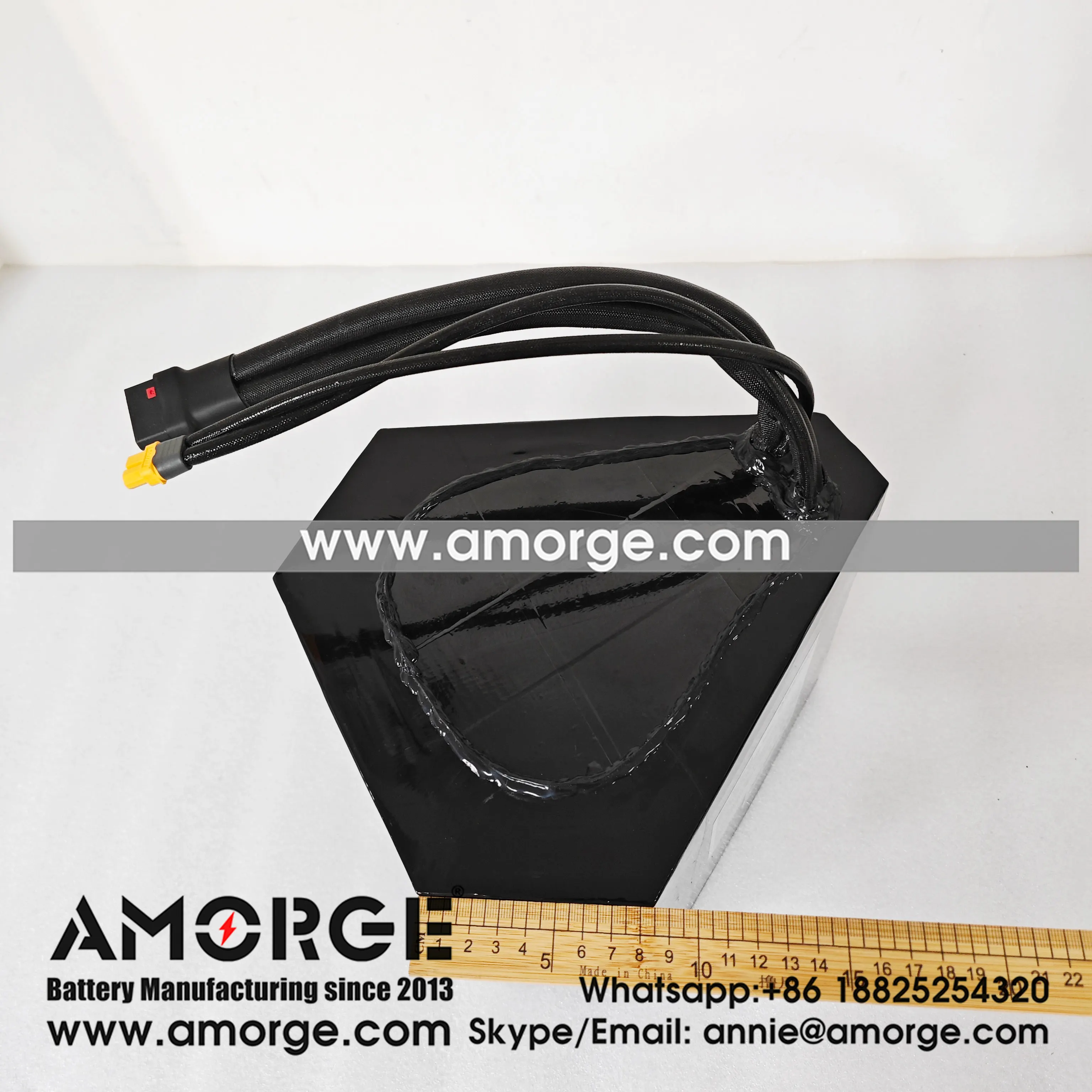 Amorge Customized Battery Pack - 72v 42v 225A with ANT BMS
