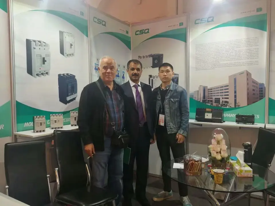 Csq 3p Mpcb Power Circuit Breaker Thermal Magnetic Type Motor ...