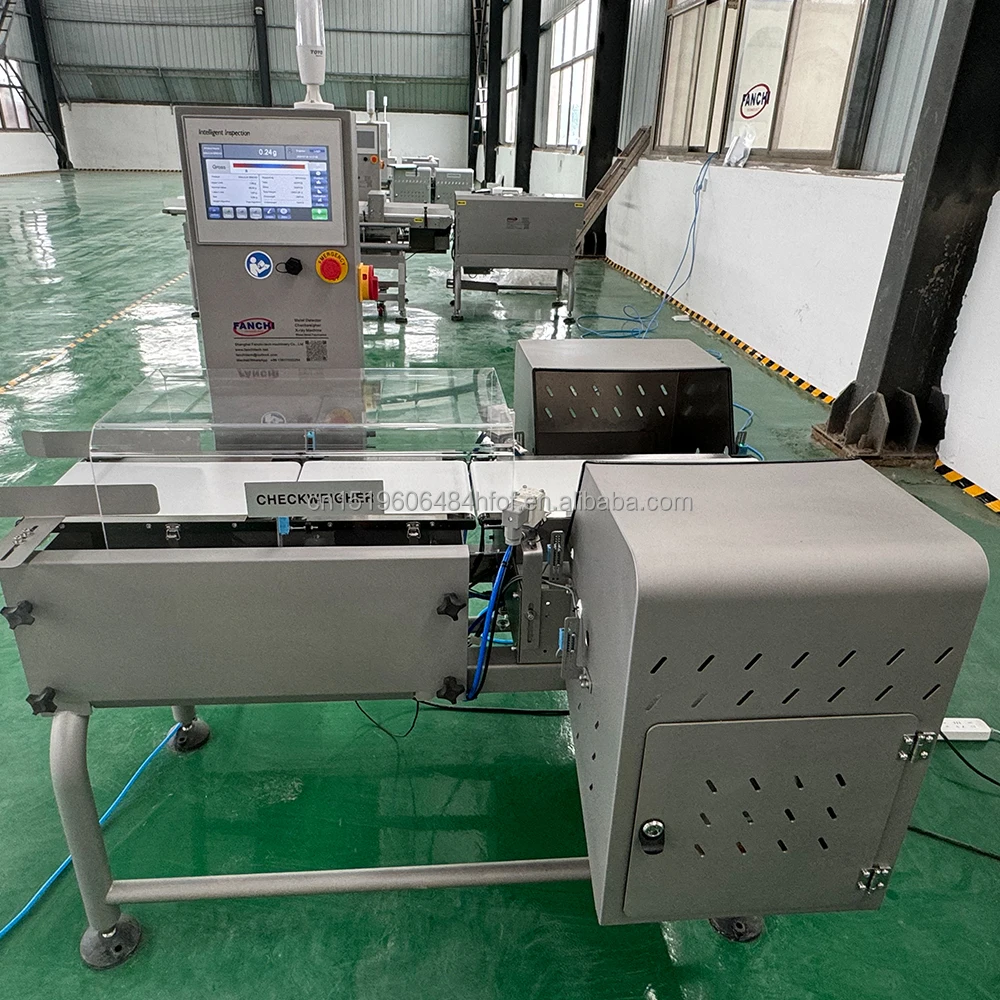 Dynamic Checkweigher Precision Scale - Inline Solutions