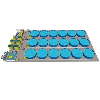 Ewater Salt Water Recirculating Aquaculture System Equipment,Ras Prawn ...