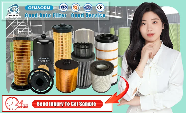 Excavator Diesel Fuel Filter element 360-8960 360-8958 3608960 Fuel ...