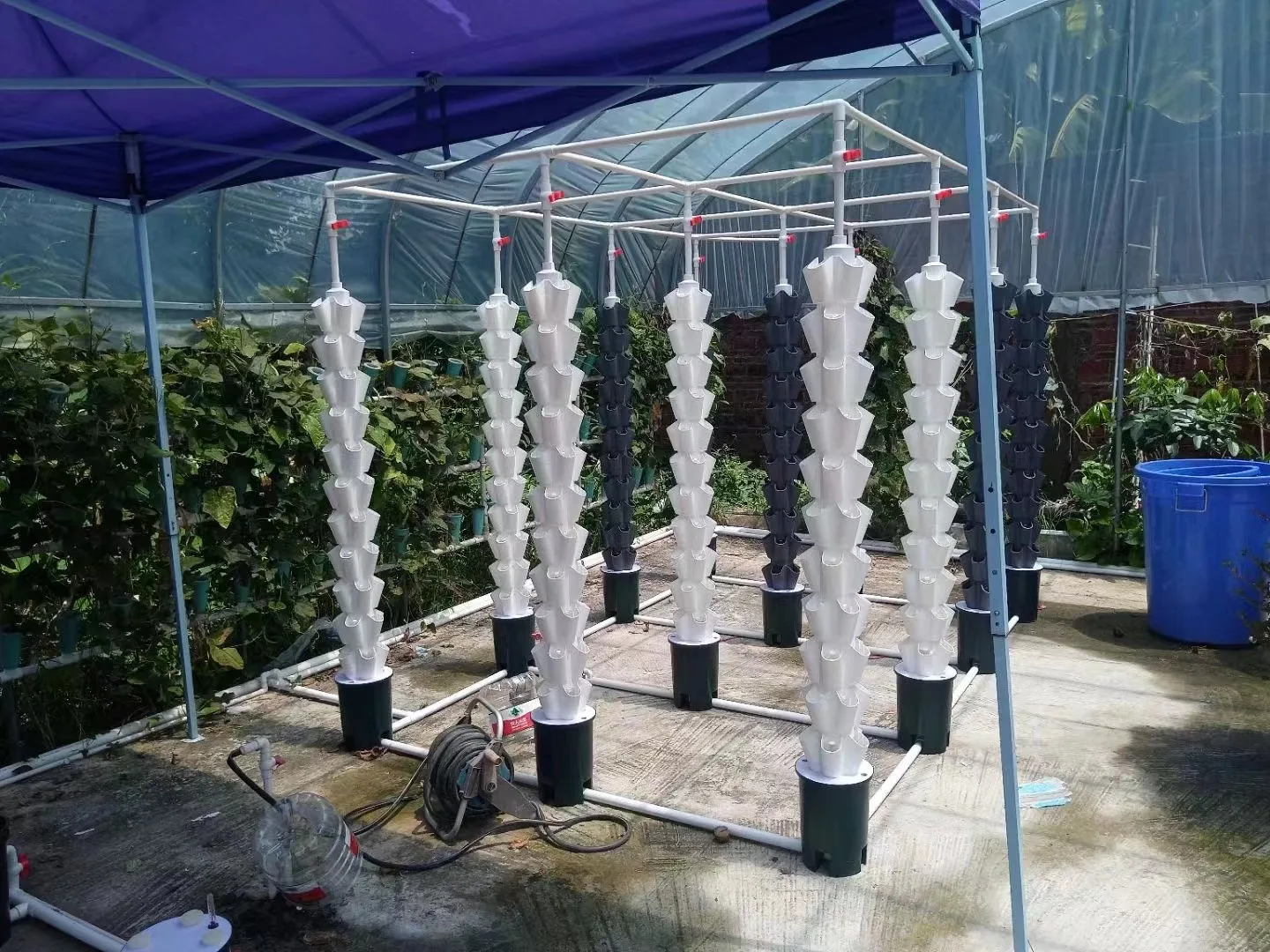 Vertical Grow Systems - Efficient Hydroponic Solutions