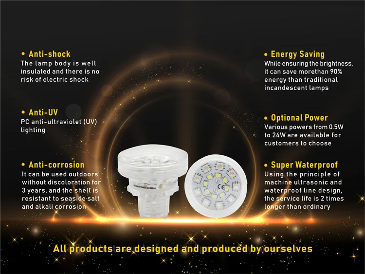 Comaleon 24V LED Point Light Waterproof Amusement Funfair Light ...