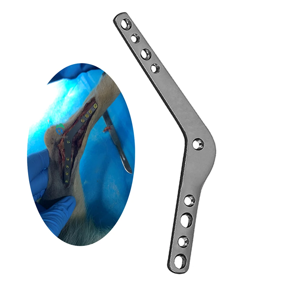 Veterinary Orthopedic Implant - Titanium Vet Locking Plate