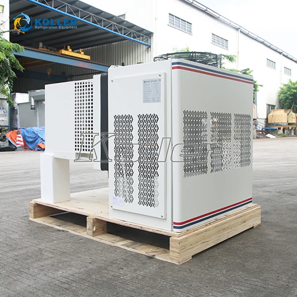High Quality Monoblock Freezing Unit for Cold Storage Room Freezing ...