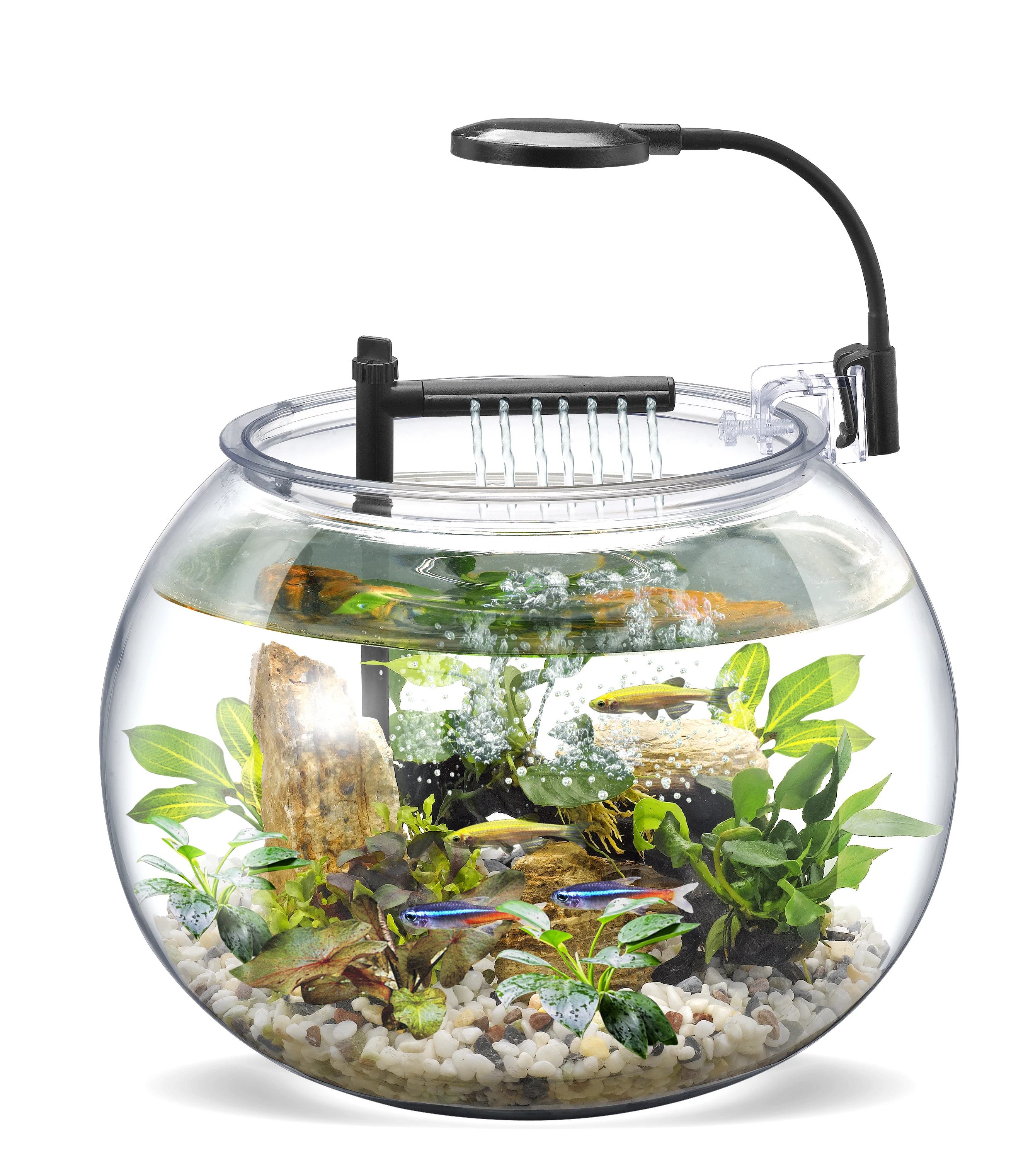 Alibaba.com: Wholesale 4L 12L transparent plastic fish tank with USB ...