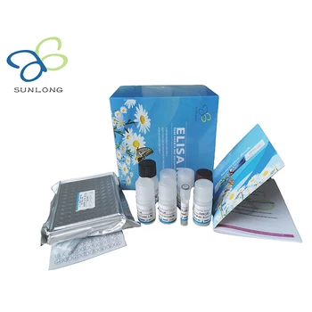 Human Mycoplasma Genitalium Antibody Igg(mg-igg) Elisa Kit - Buy ...