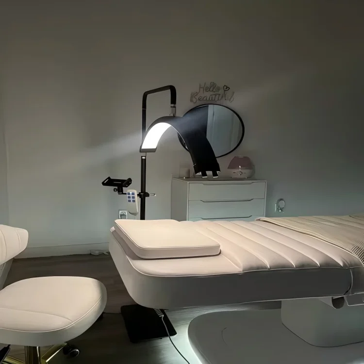 Modern Beauty Salon Furniture - Professional Massage Bed